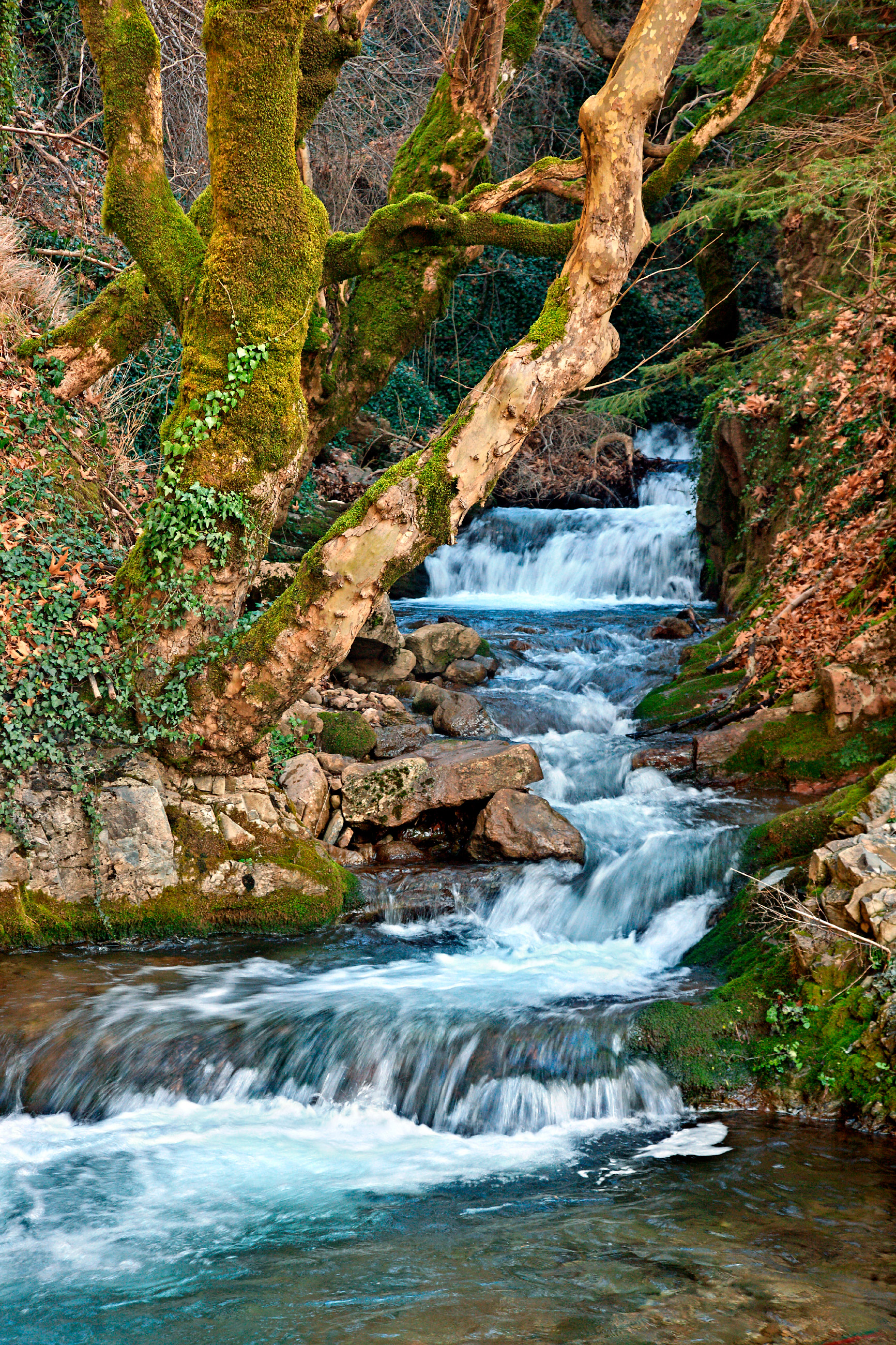 Hiking in the Agrafa Mountains | Visit Thessaly