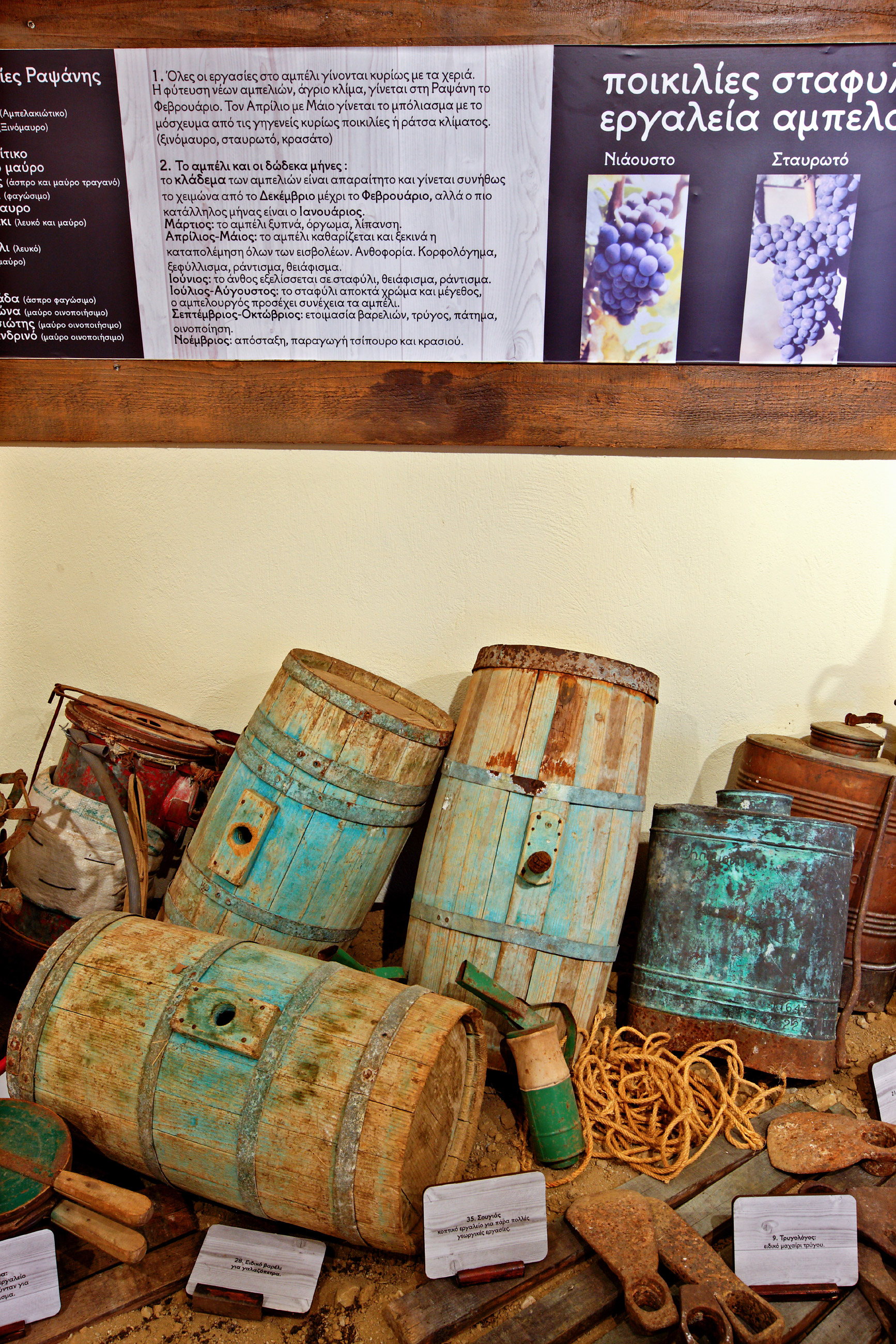 Rapsani, the “wine village” of Olympus | Visit Thessaly